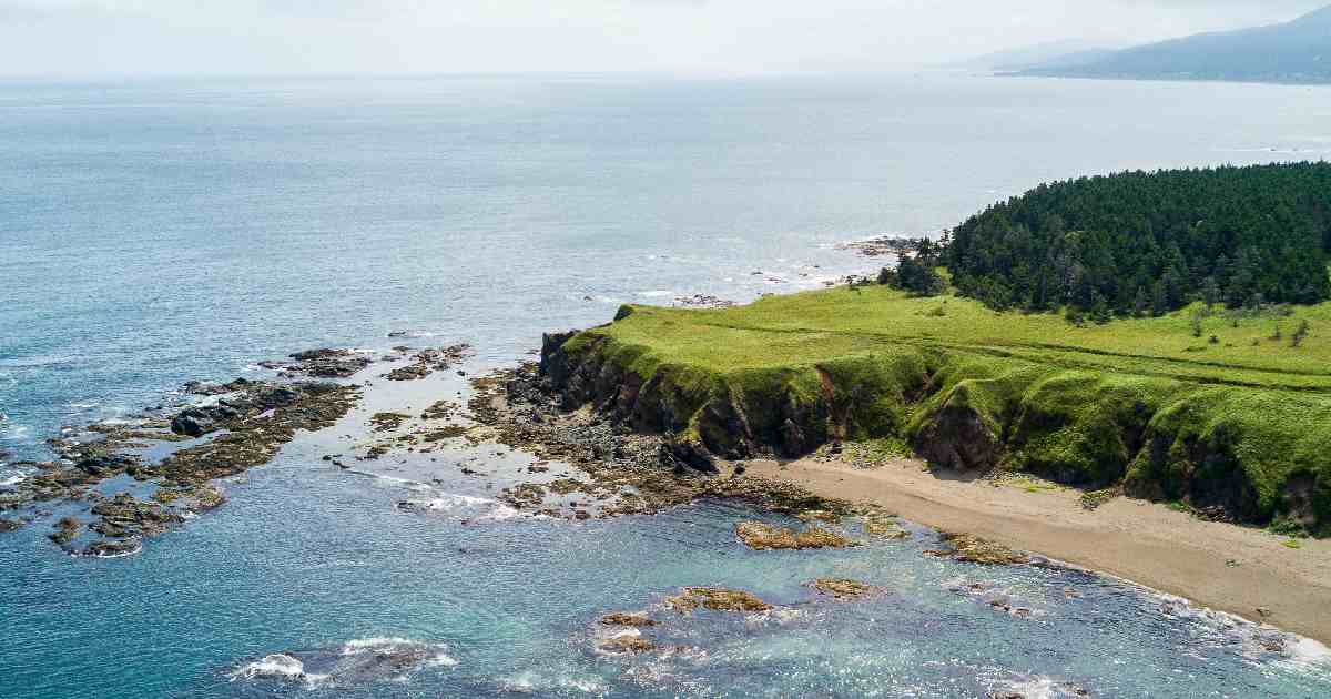 Sakhalin Connecting and powering operations at the worlds largest ...