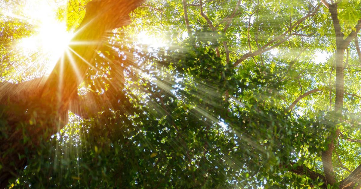 How instrumentation technology is making a world of difference for a ...