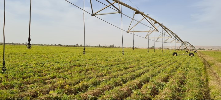 Integrated Geographical Information System (GIS) - Water plant ...